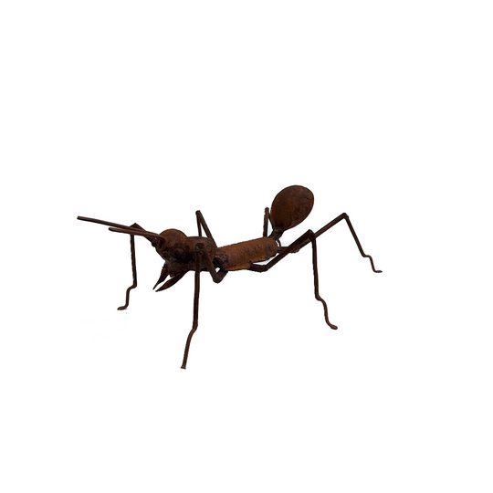 Tienda de decoración para el hogar en Medellín – Alevilla